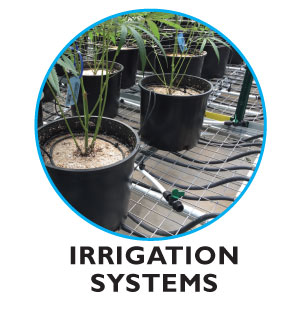 Integrated Plant Health